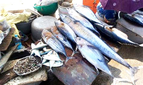 Fishermen Welfare Schemes